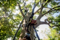 Tree Service Memphis